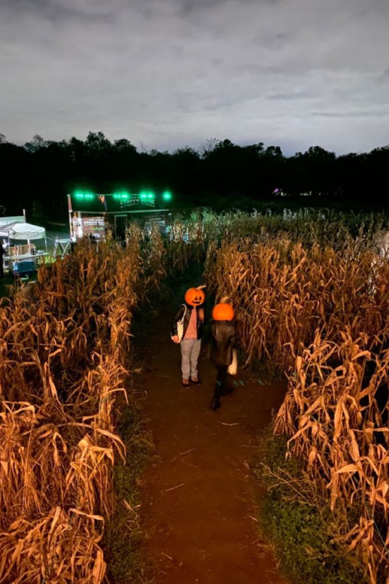 36 Wickedly Adorable Halloween Date Ideas That Will Bewitch You!